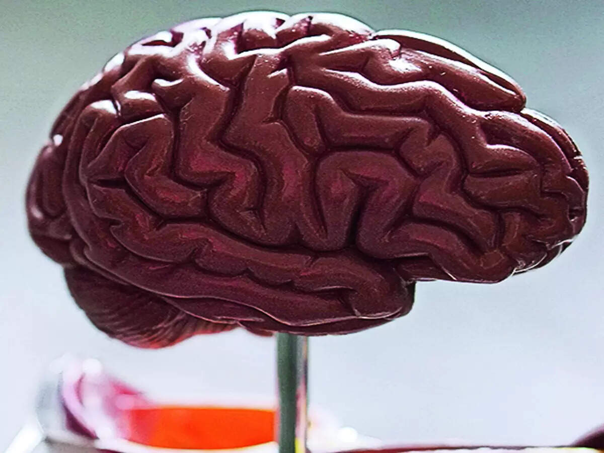 Portable device enhances skull bleeding detection