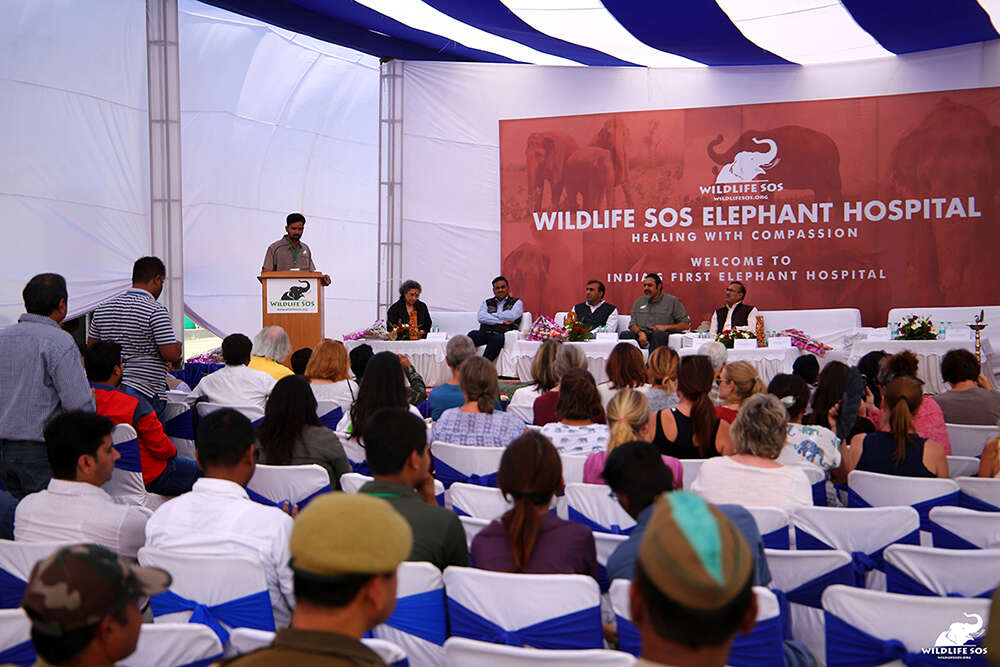 India’s first elephant hospital established near Taj Mahal