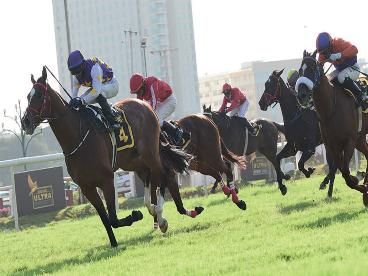 Chouhan steals the show in horse race