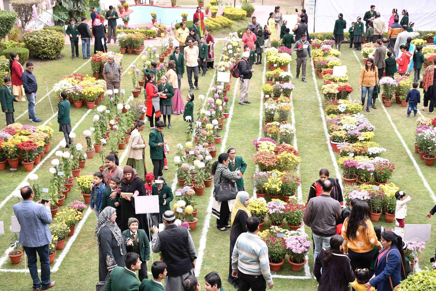 Floral Fiesta, a treat for Bareilly's ardent flower and nature lovers ...