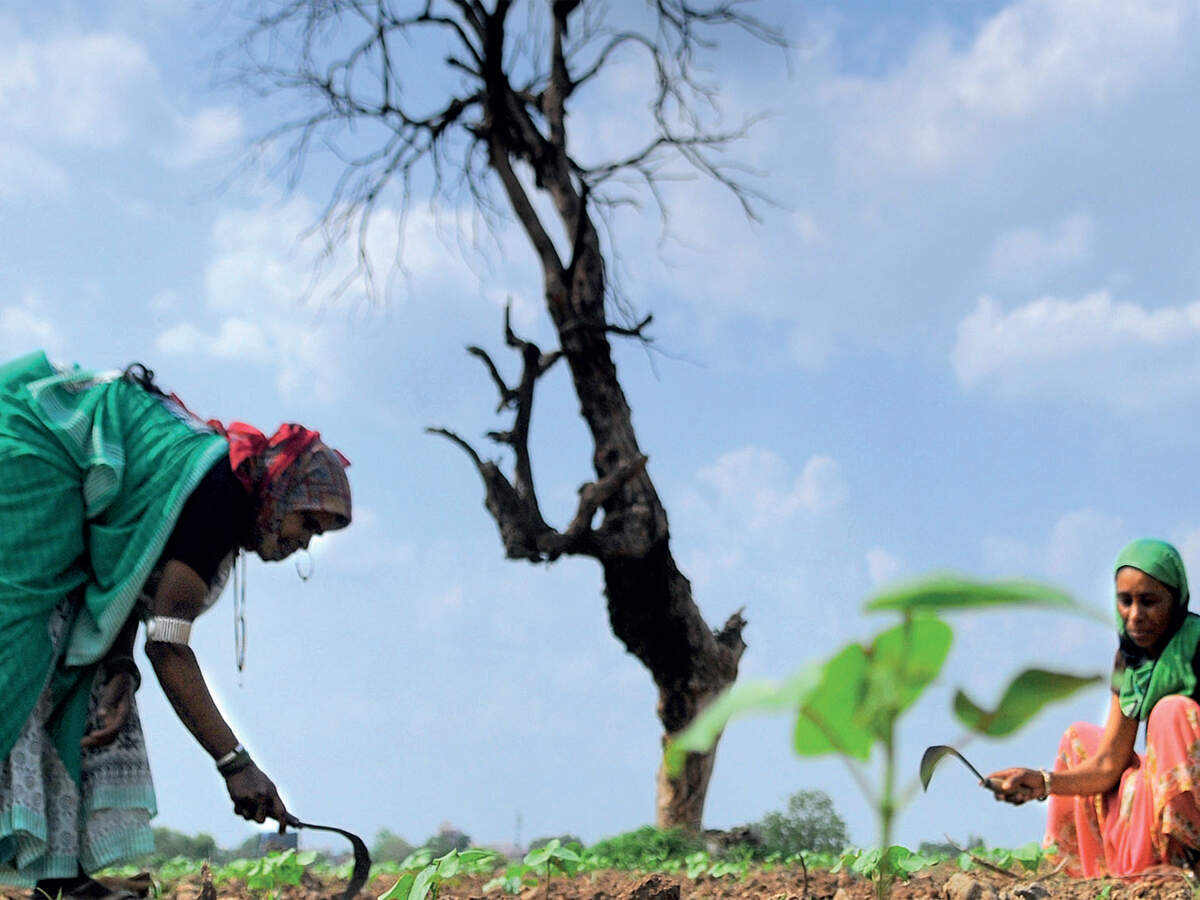 Irregularities in farm loan waiver scheme: MNS Irregularities in farm loan waiver scheme: MNS