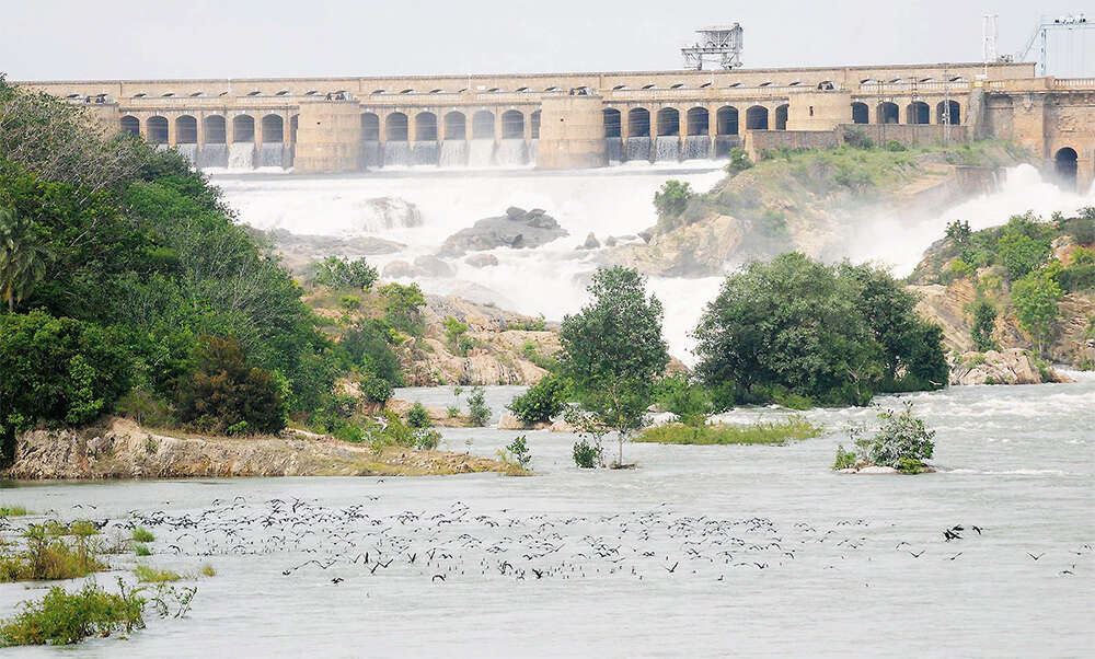 ‘Water around KRS dam impure’