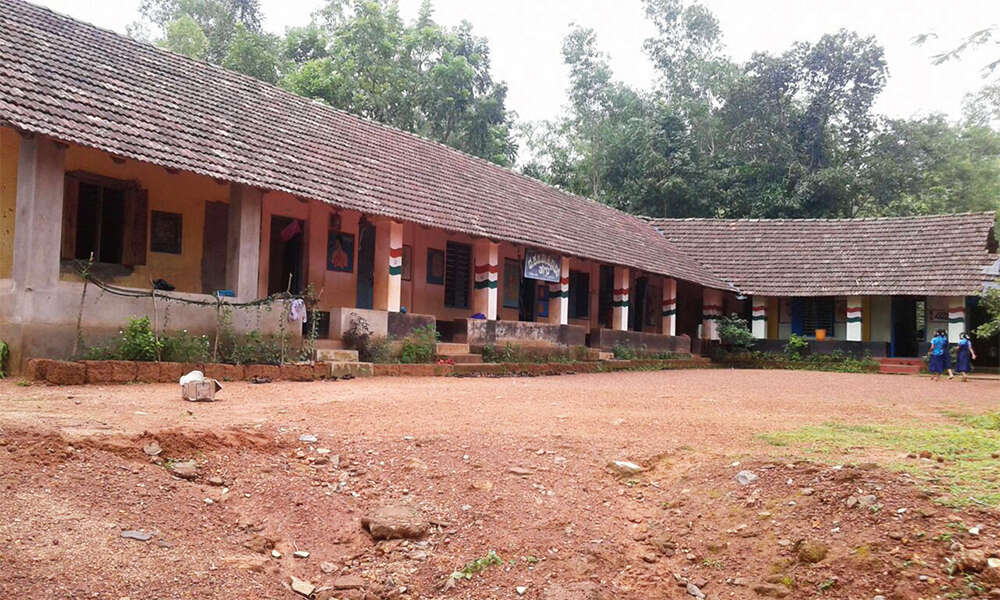 Karnataka School Karnataka School Goes Green In Its Golden Year karnataka-school-karnataka-school-goes-green-in-its-golden-year