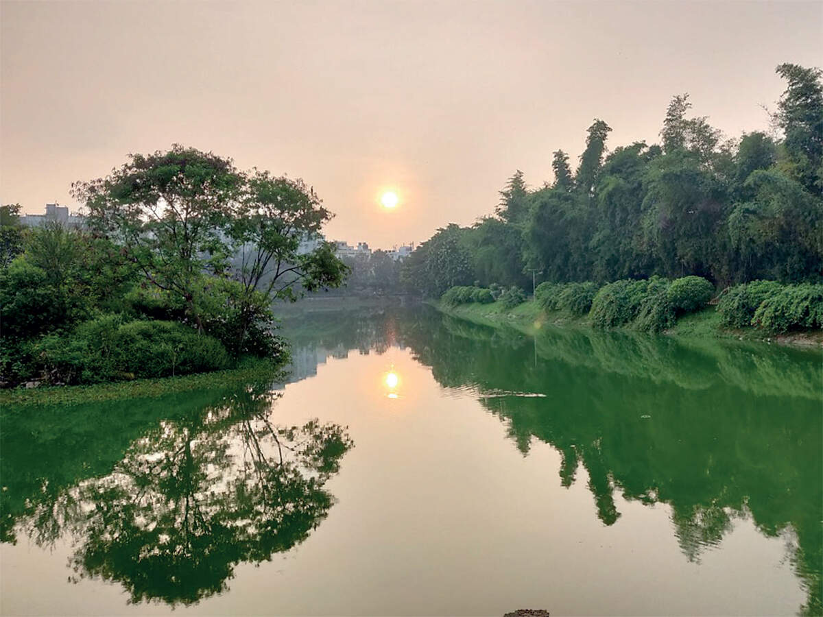 Story behind the photo: Lake view