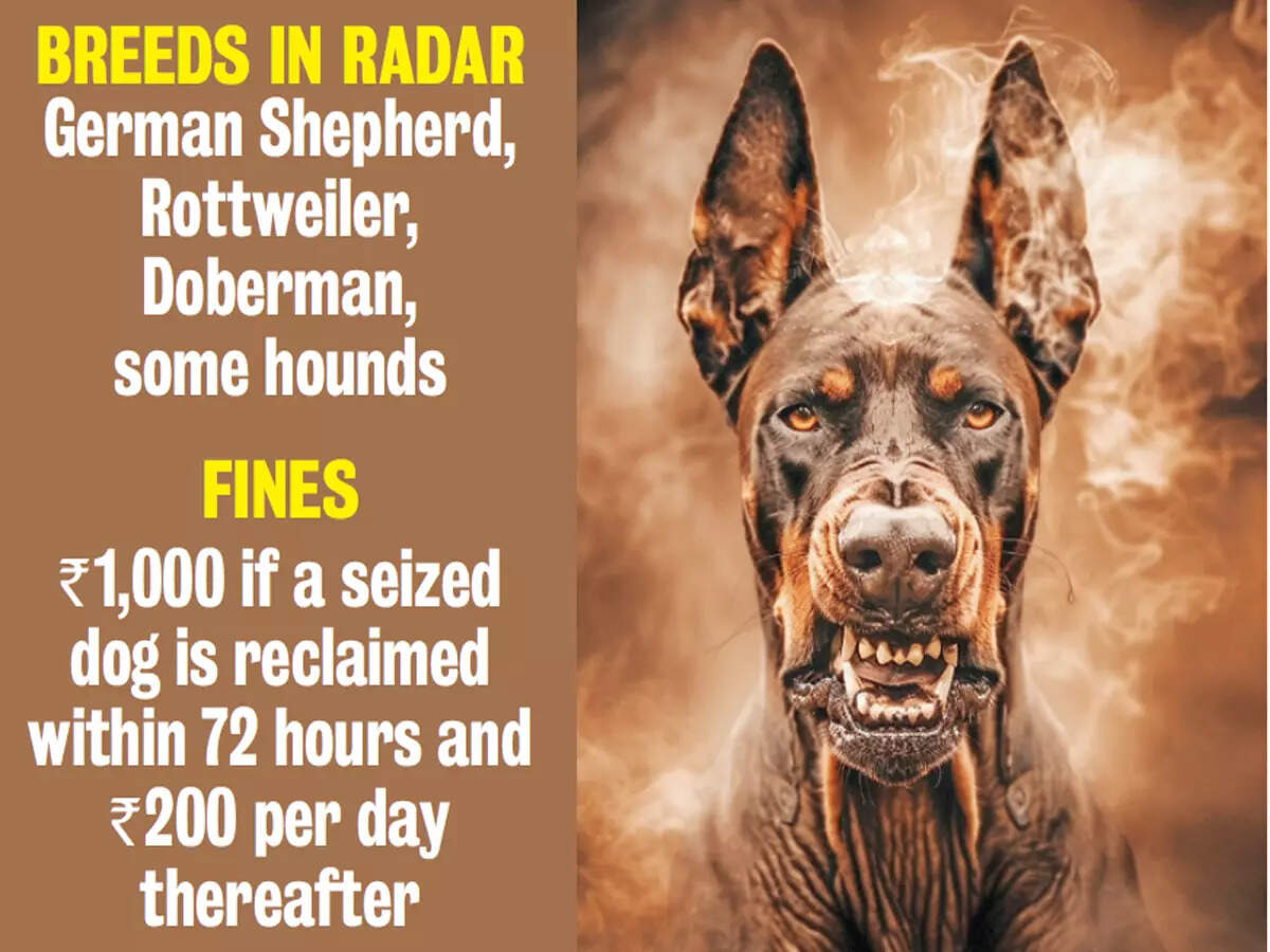 Ban on aggressive dog breeds, licence for pet owners soon