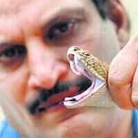 Hissss...an encounter