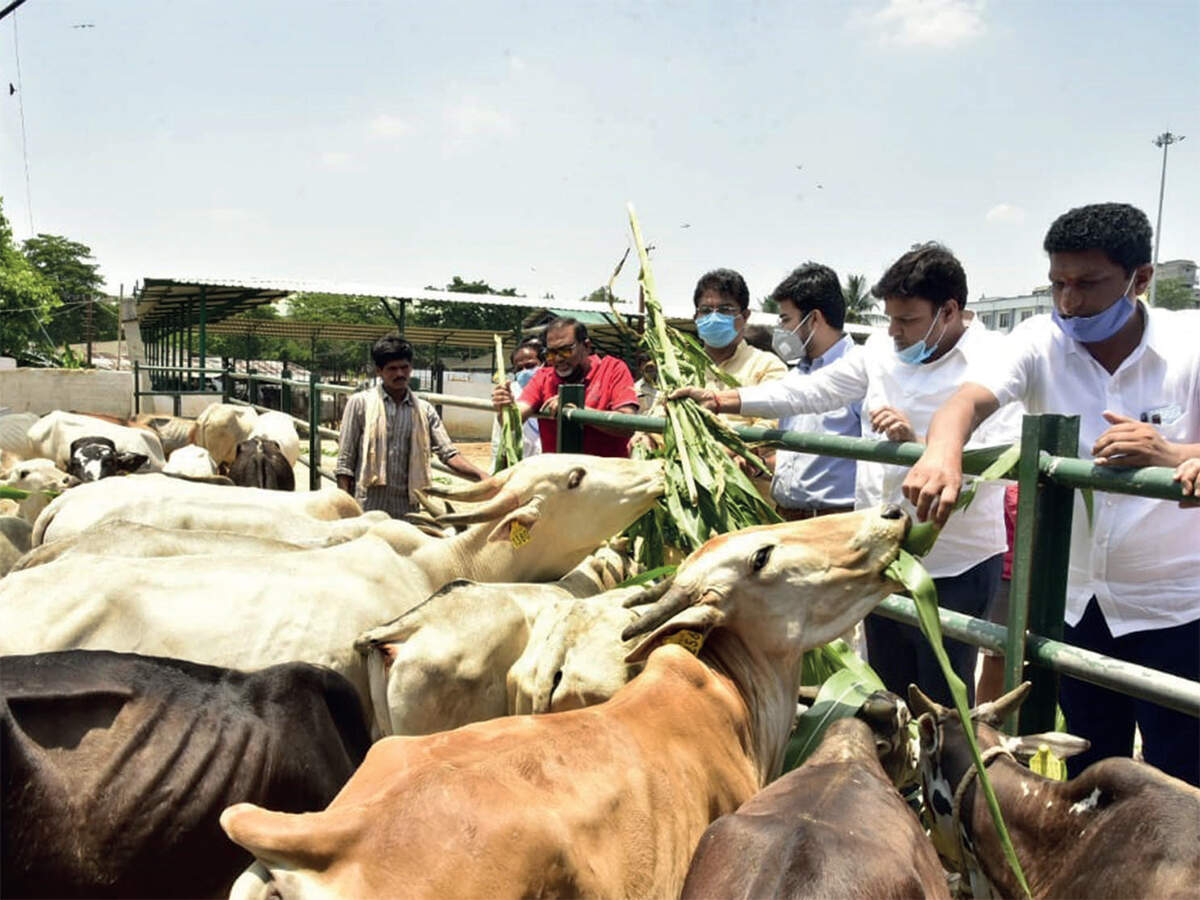 The fodder figures are here