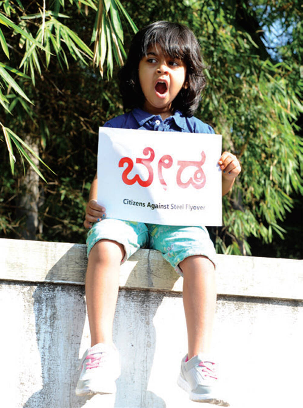 Red-hot flyover will hit ecosystem: Experts