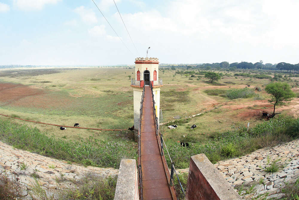 Hesaraghatta gets fresh lease of life