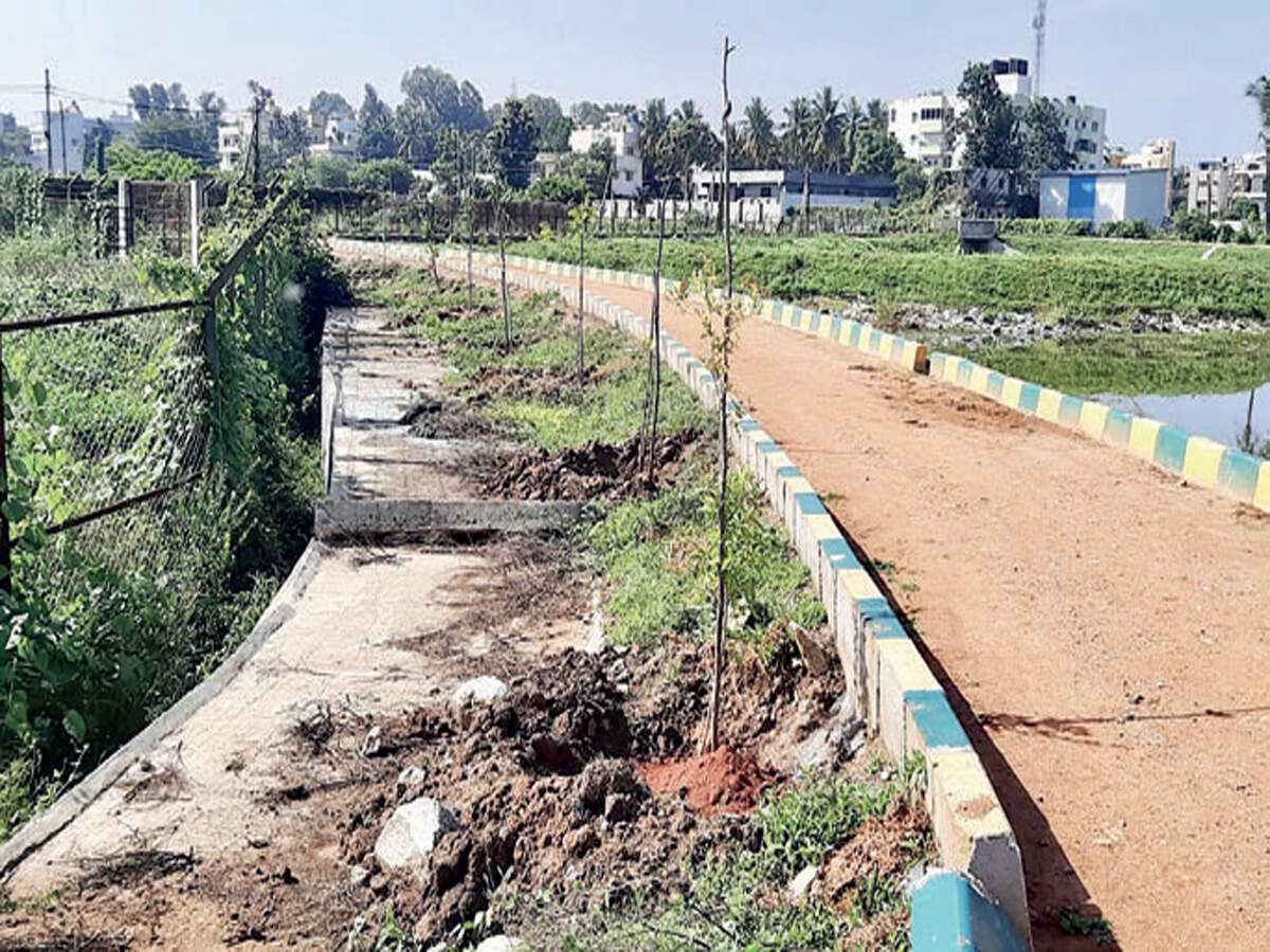 Green shoots in Alahalli, finally