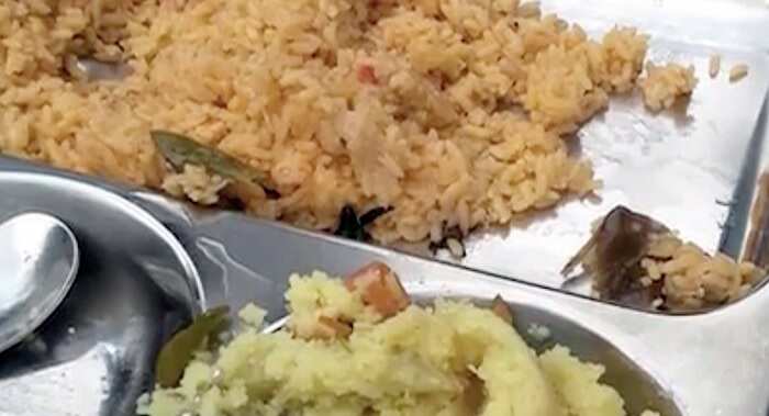 Indira Canteen food gives them the creeps