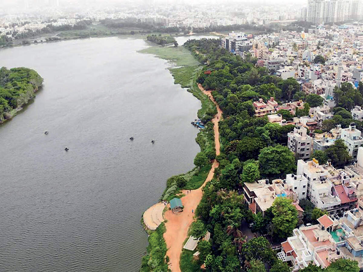 Madiwala Lake: Story behind the photo: City of contrasts