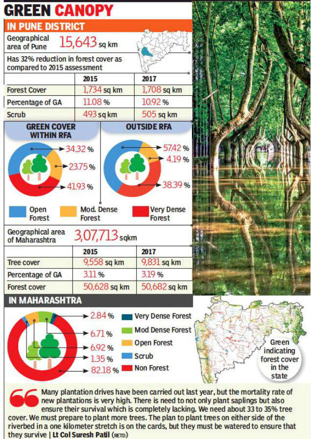 Pune distrist loses 26 sqkm of forest cover in two years | Pune News ...