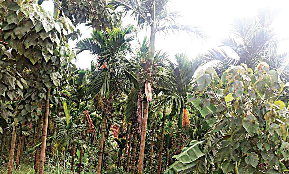 Mangaluru: A class apart