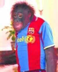 Introducing Appu and Pappu