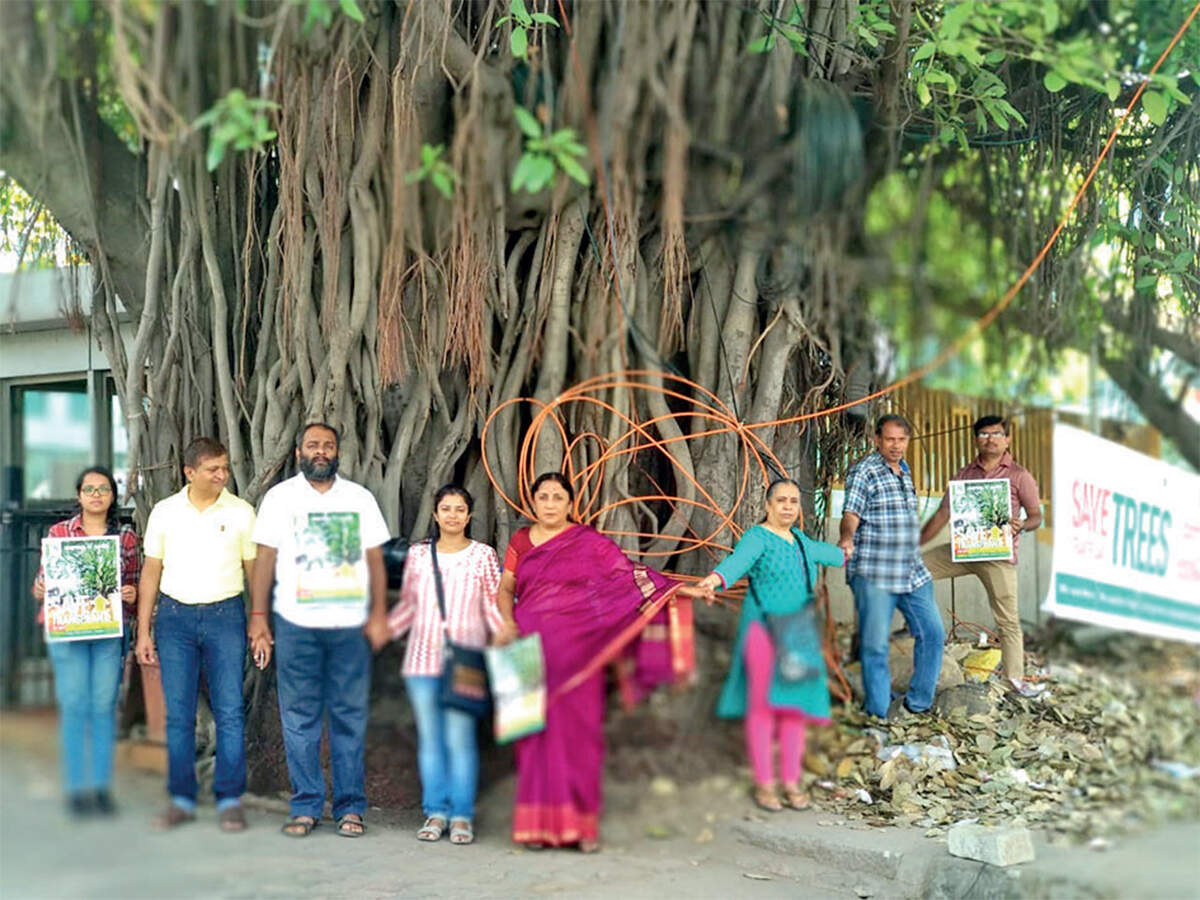 Bengaluru: Residents crowdfund campaign to save trees