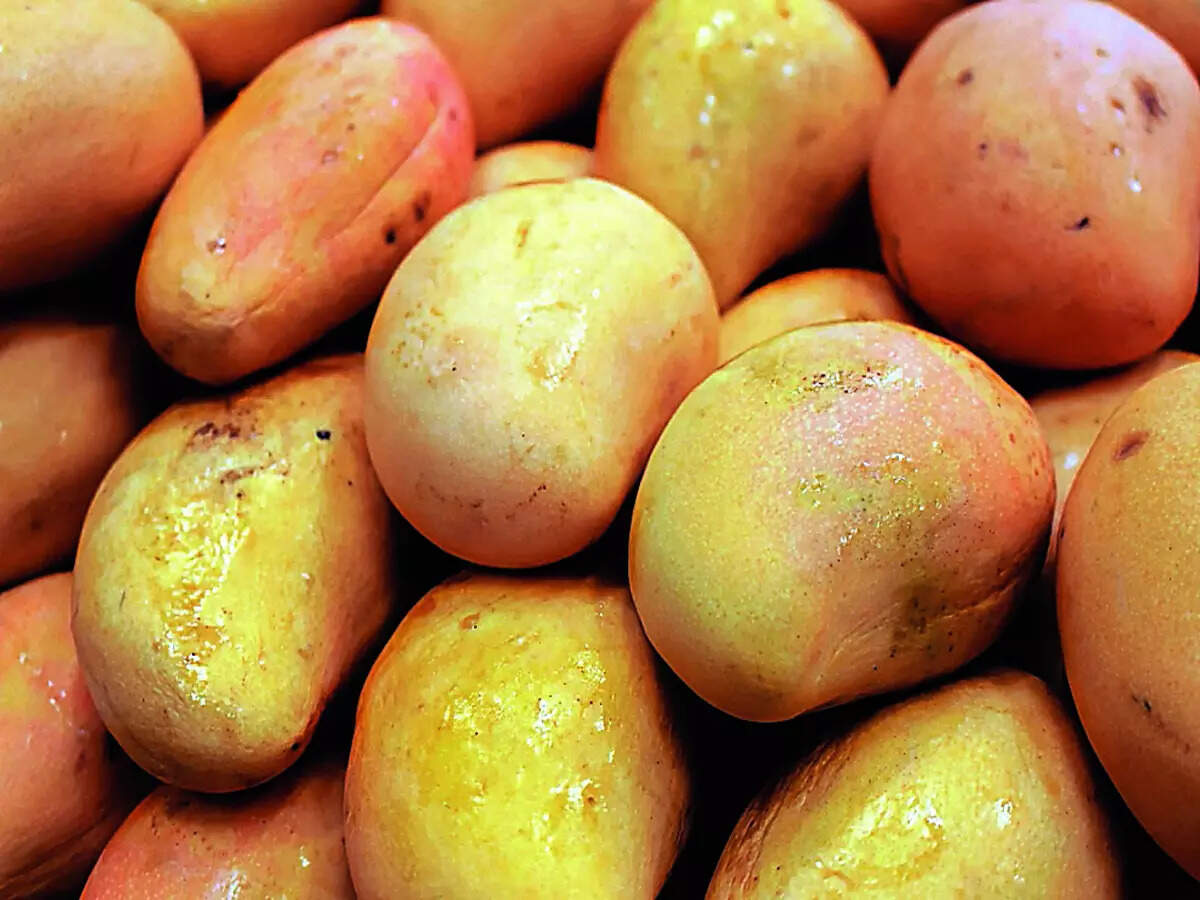 Raw deal: Is mango on your plate too ripe to be true?