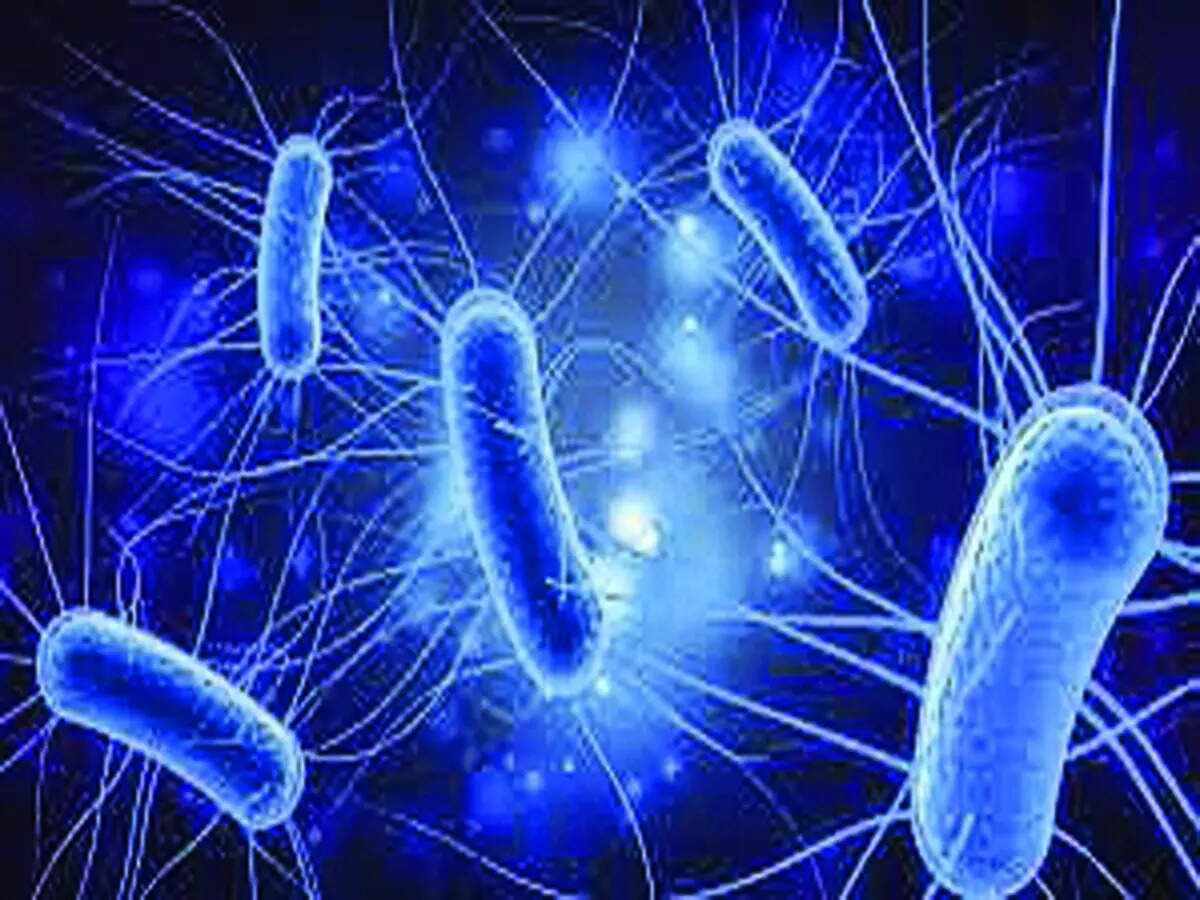 Hot on trail of bacteria resistant to antibiotics