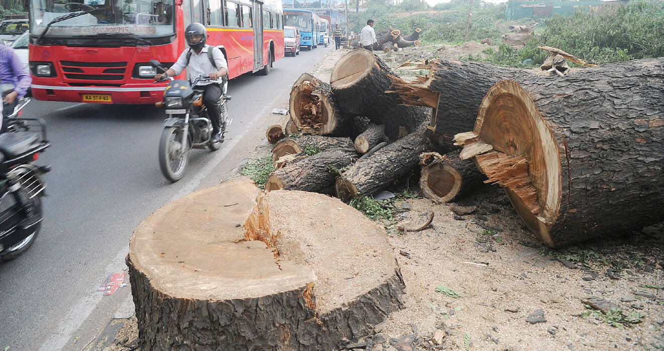 Industree: The only green that matters?