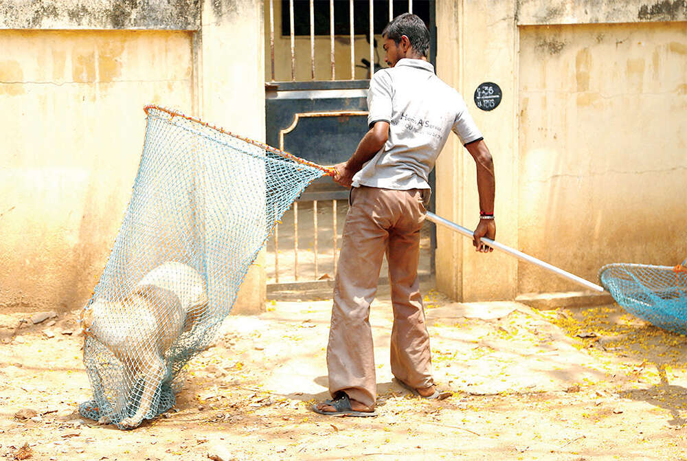 BBMP: BBMP plans better ABC programme