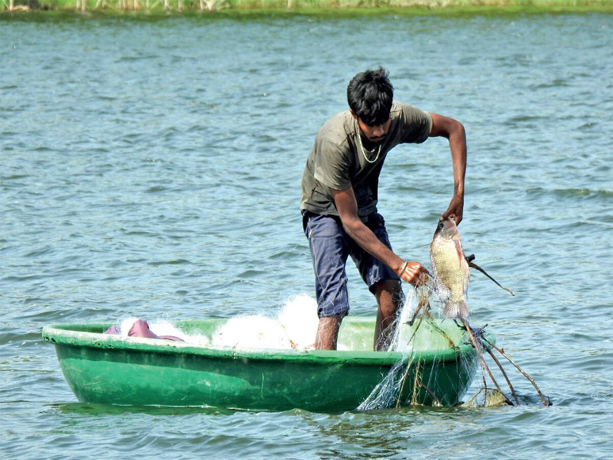 Story behind the photo: Catch of the day