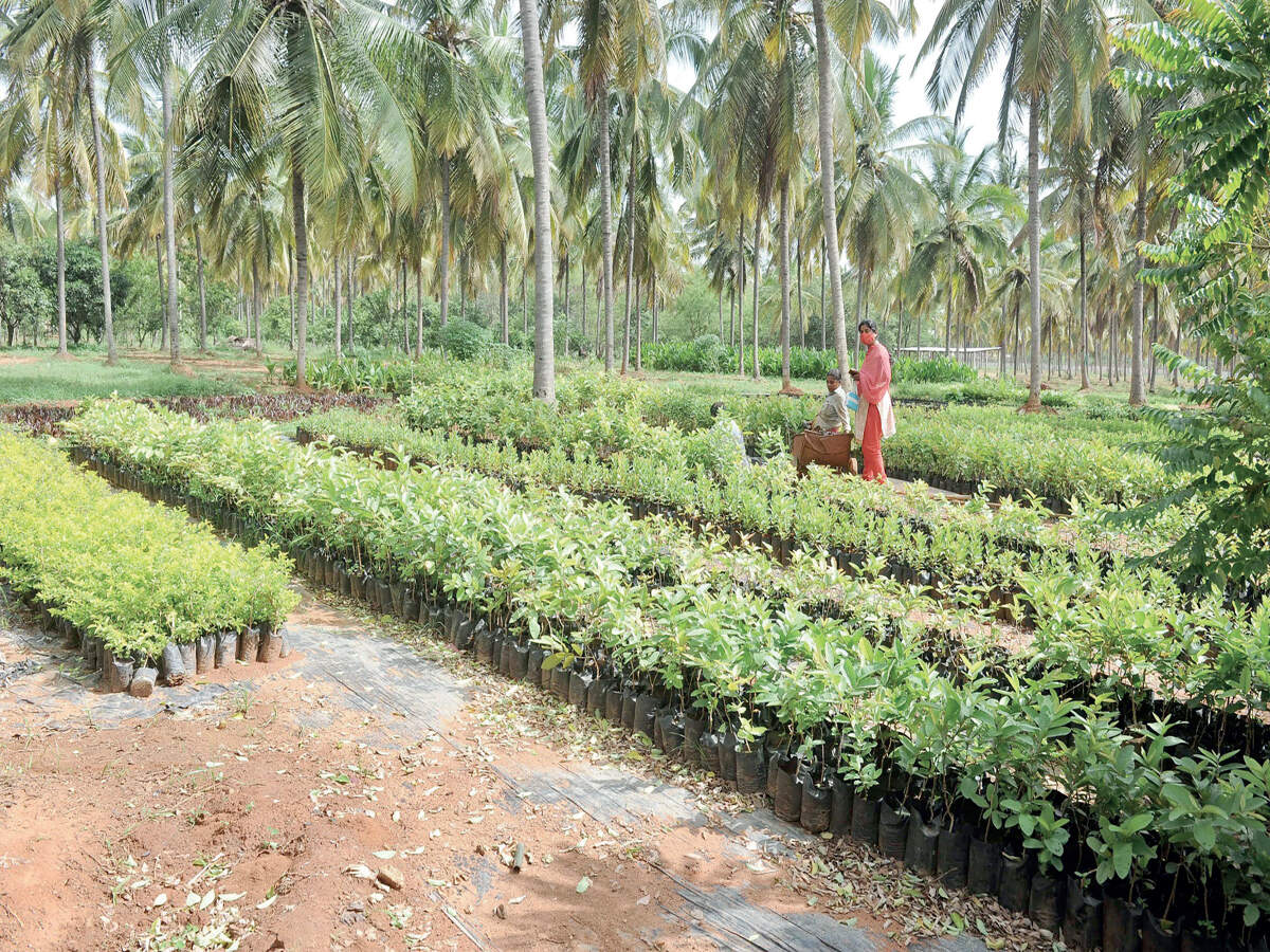 East Lalbagh: The wonders of mini Lalbagh
