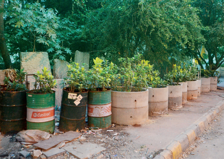 koramangala: Baby steps: Bengaluru residents, BBMP set up small plant ...