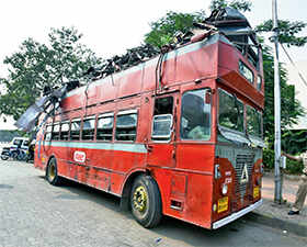 7 injured as best bus rams into tree branch