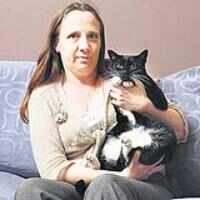 Cat survives 40 minutes in tumble dryer at 40c
