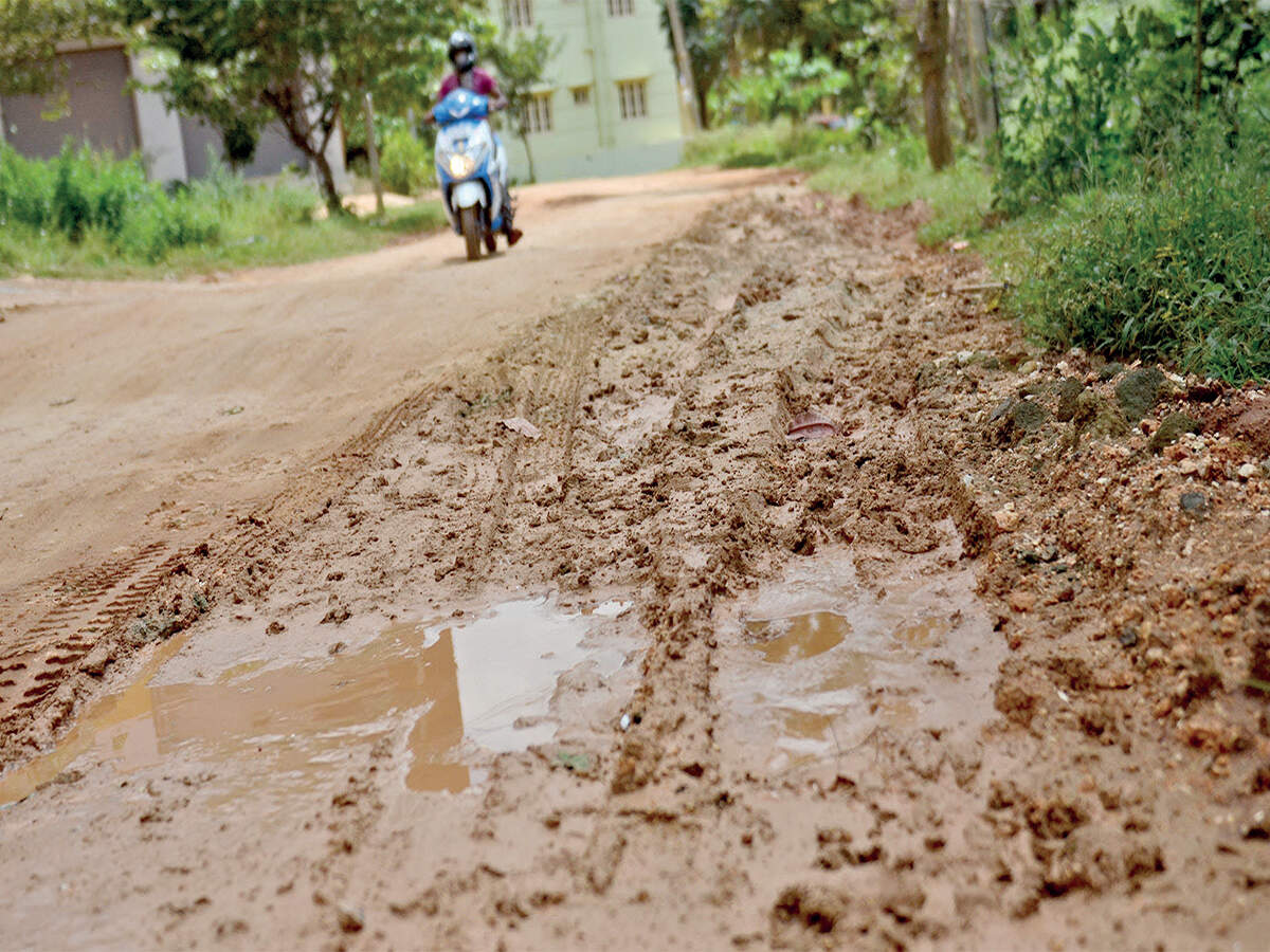 Watch: Why Brindavan Layout is feeling bogged down