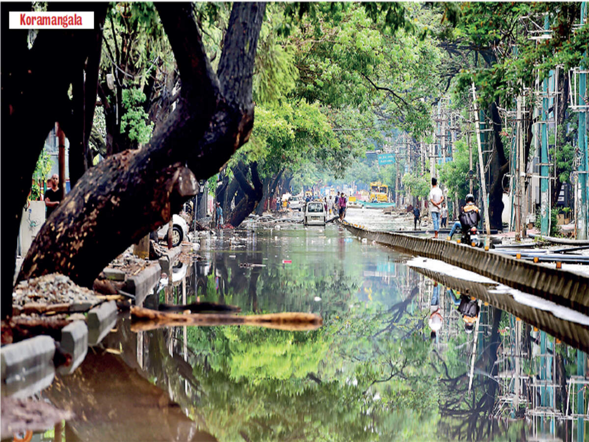 Floody nuisance: At least 10 trees were uprooted and several low-lying ...