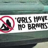 '˜Girls Have No Brains' sticker on car has the police in a legal bind
