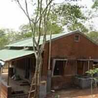 Forest staff can stay closer to tigers