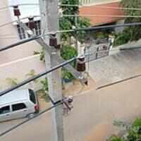 Shortage of poles hits grand project to supply power 24x7