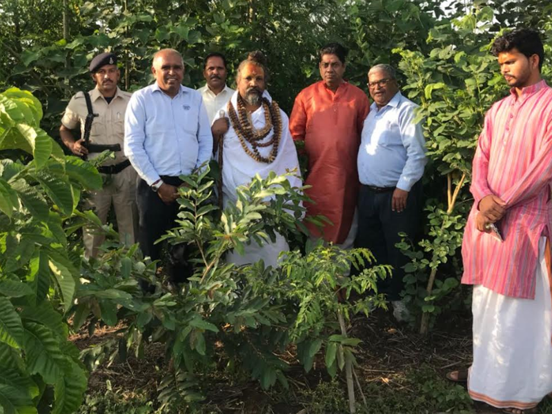 mp mass plantation: Computer Baba gives clean chit to MP govt on mass ...