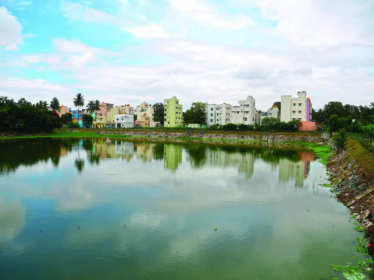 Clock is ticking for lake watch