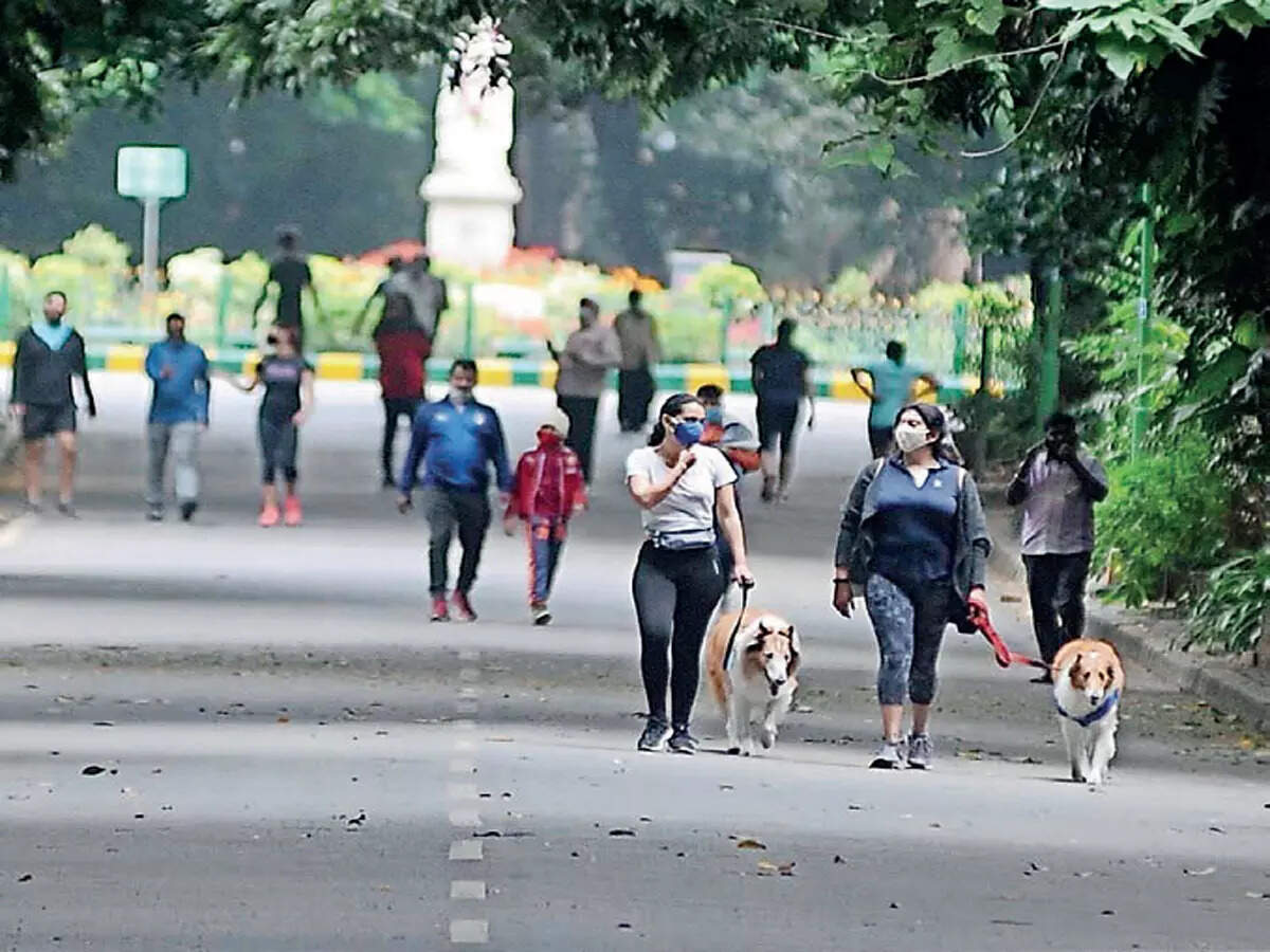 cubbon park: Walkers talkers