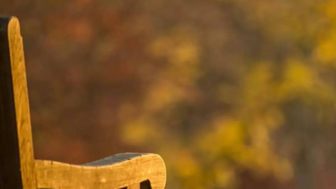 Basai Village, Gurgaon: Map, Property Rates, Projects, Photos, Reviews ...