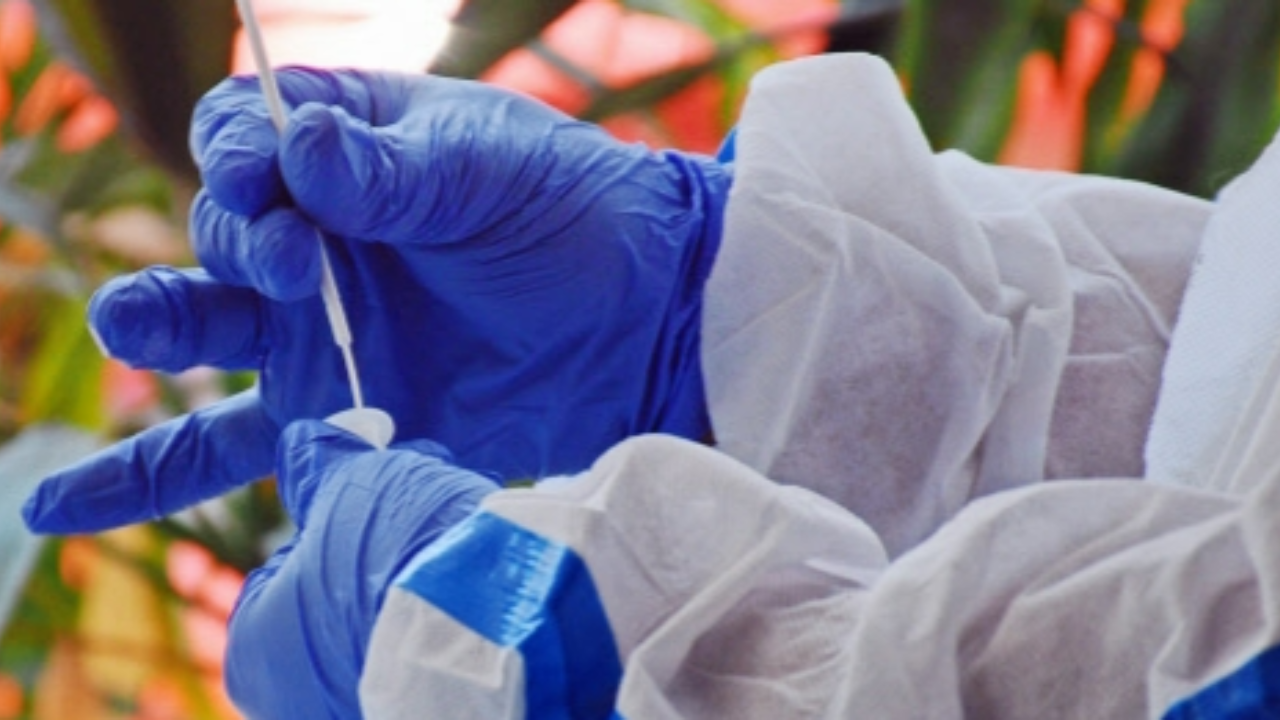 Madhubani Pandaul Sakri Road, Madhubani: Map, Property Rates, Projects ...