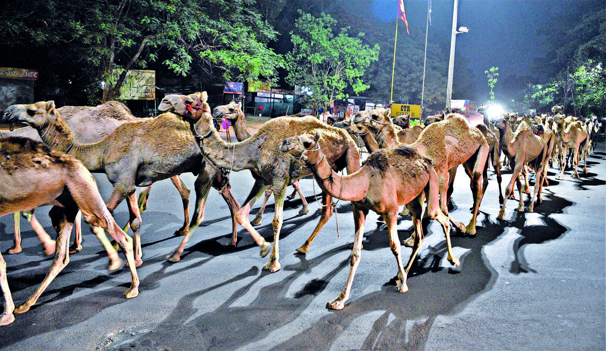 Nashik Road Railway Station, Nashik: Map, Property Rates, Projects ...