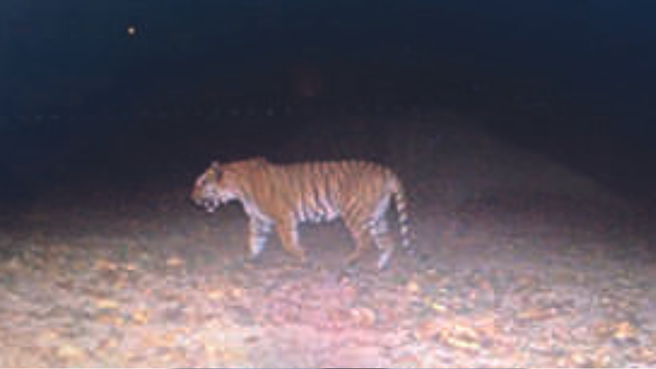 Bilas Pur Kandali, Dehradun: Map, Property Rates, Projects, Photos ...