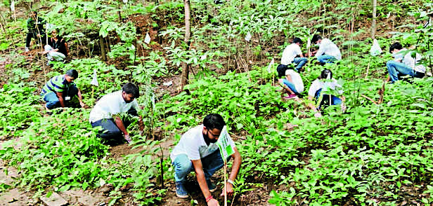 Lower Chutia, Ranchi: Map, Property Rates, Projects, Photos, Reviews, Info