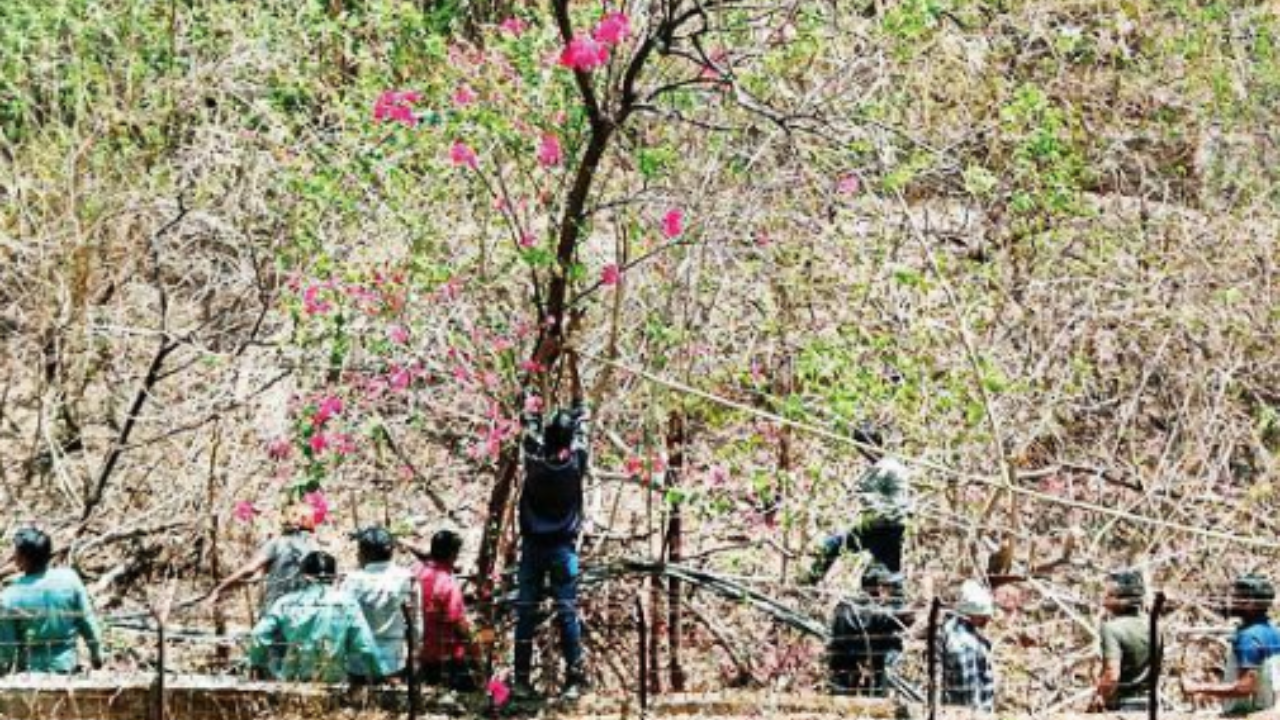 Dalve Wadi, Pune: Map, Property Rates, Projects, Photos, Reviews, Info