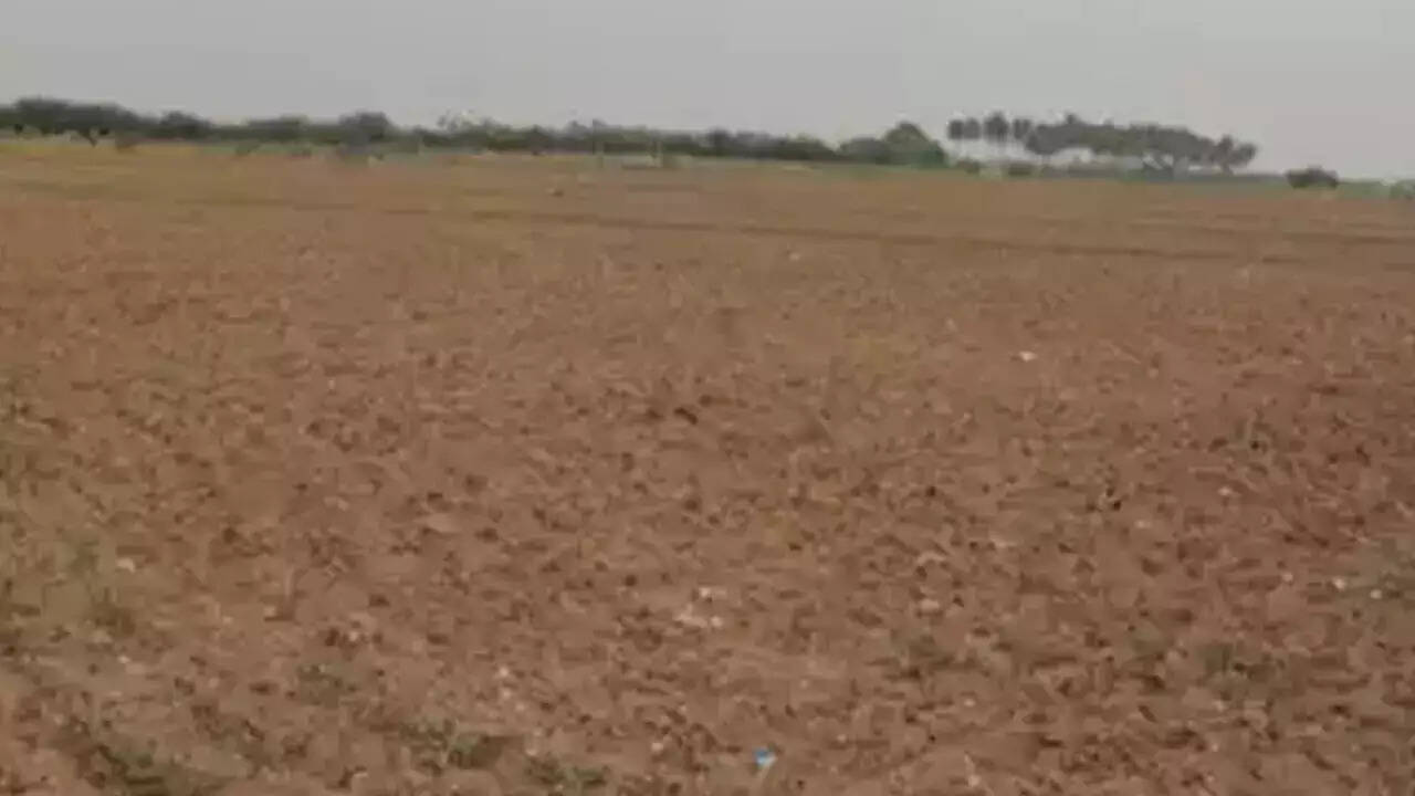 Ravindra Nagar, Indore: Map, Property Rates, Projects, Photos, Reviews ...