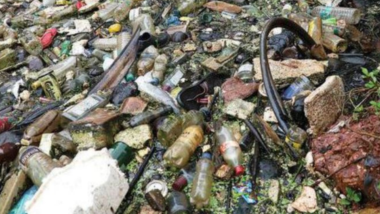 Pernem, Goa: Map, Property Rates, Projects, Photos, Reviews, Info