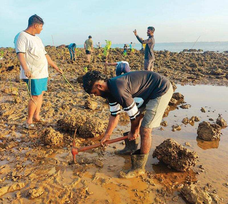 Orlim, Goa: Map, Property Rates, Projects, Photos, Reviews, Info