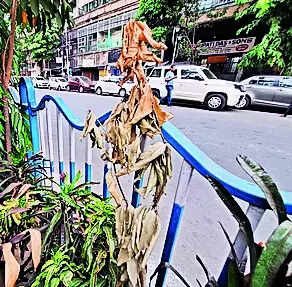 Hingalganj, Kolkata: Map, Property Rates, Projects, Photos, Reviews, Info