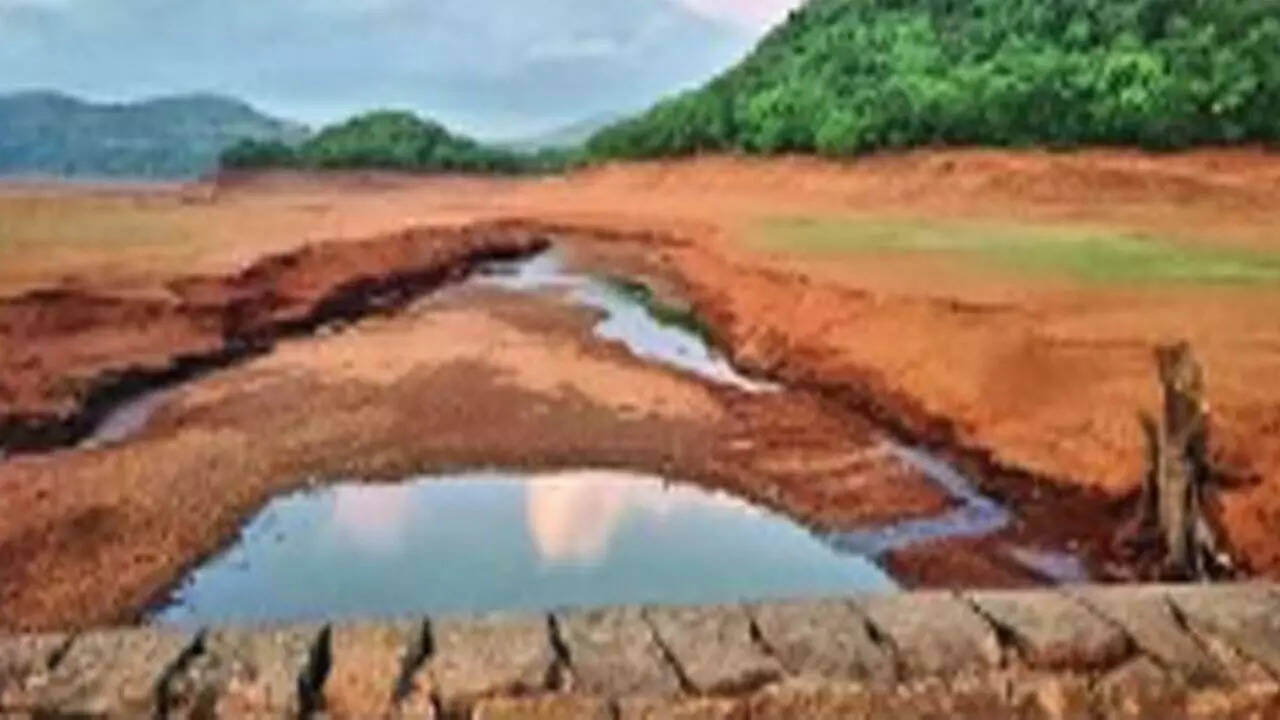 Nagala Park, Kolhapur: Map, Property Rates, Projects, Photos, Reviews, Info