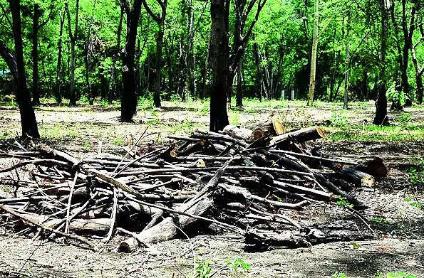 Mansal, Nagpur: Map, Property Rates, Projects, Photos, Reviews, Info