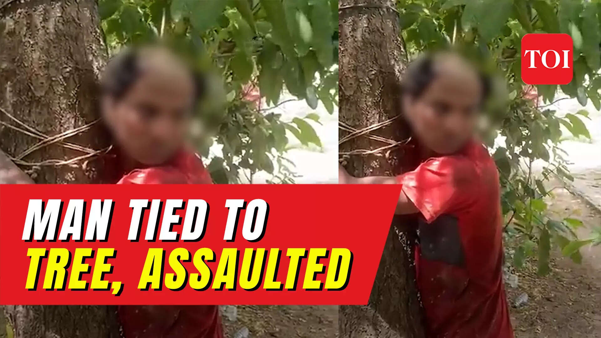 Man tied to tree, tonsured and assaulted in UP's Bulandshahr, video ...